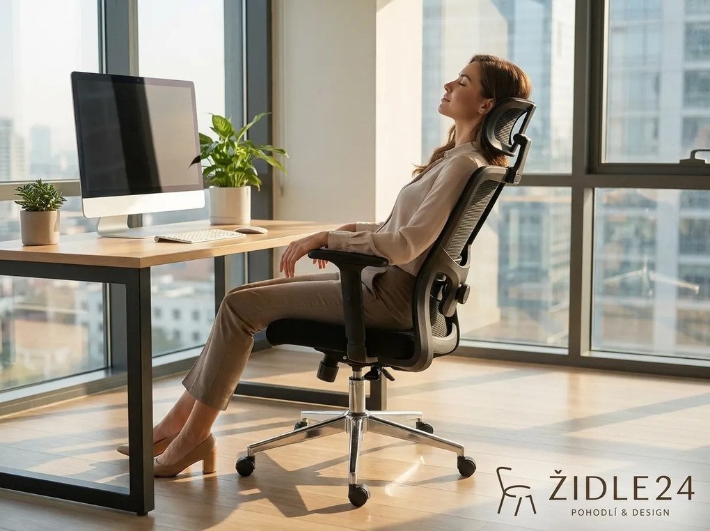 Ergonomická kancelářská židle ERGODO FAGER - černá síťovina / nosnost 150 kg