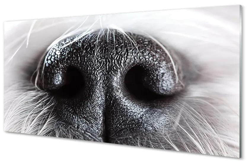 Obraz na skle psí čumák 125x50 cm
