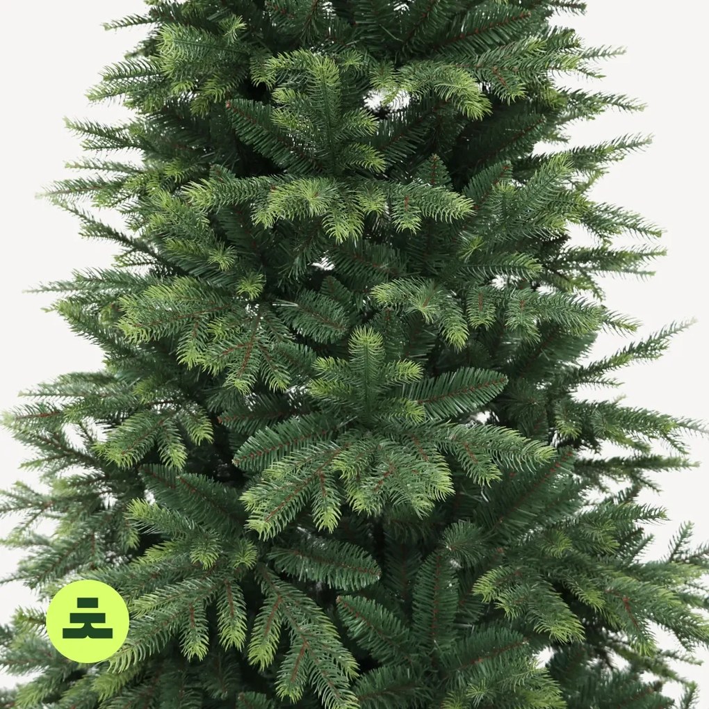 Smrk Himalájský 210 cm
