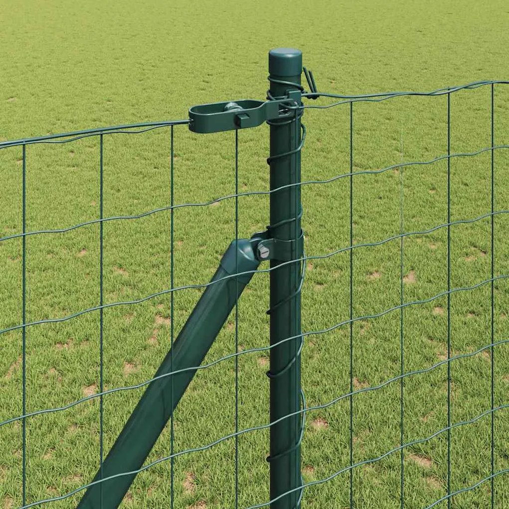 Evropský plot se hroty 10 x 1,6 m Ocel potažená PVC Zelená 3350618