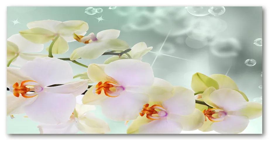 Wallmuralia Foto obraz fotografie na skle Bílá orchidej 120x60 cm