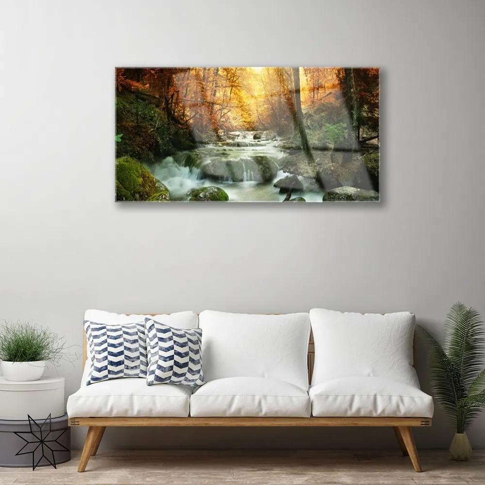 Plexisklo-obraz Vodopád Příroda Les Podzim 100x50 cm