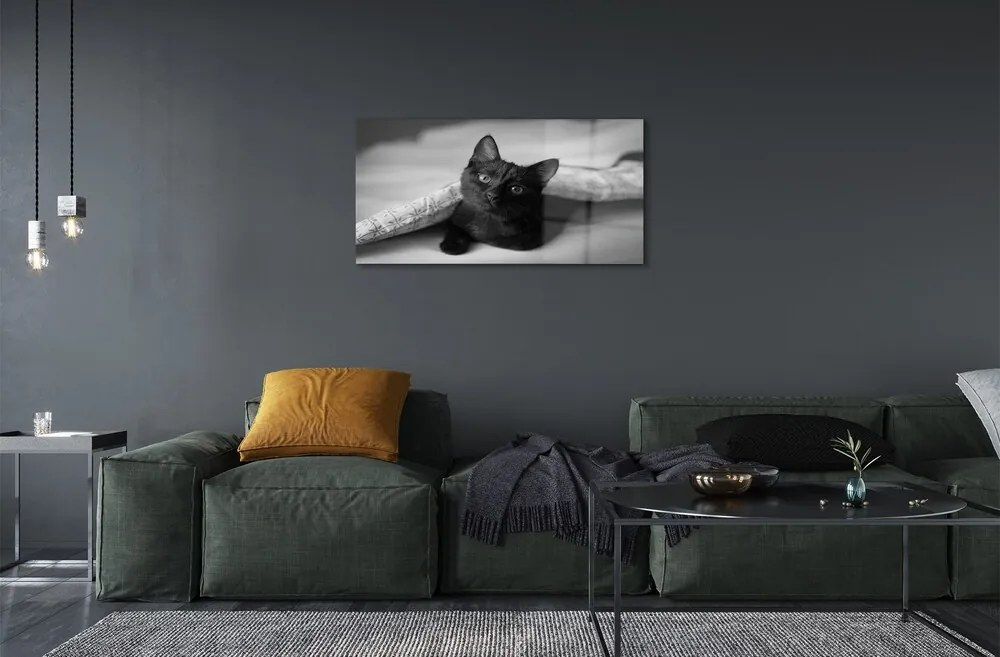 Obraz na skle Kočka pod přikrývkou 125x50 cm