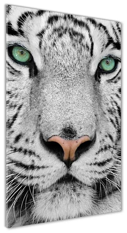 Wallmuralia Vertikální Foto obraz sklo tvrzené Bílý tygr 50x100