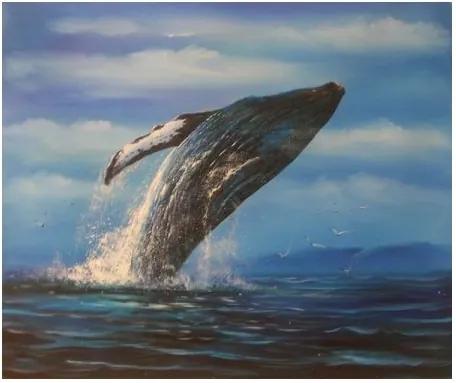 Obraz - Skákající velryba