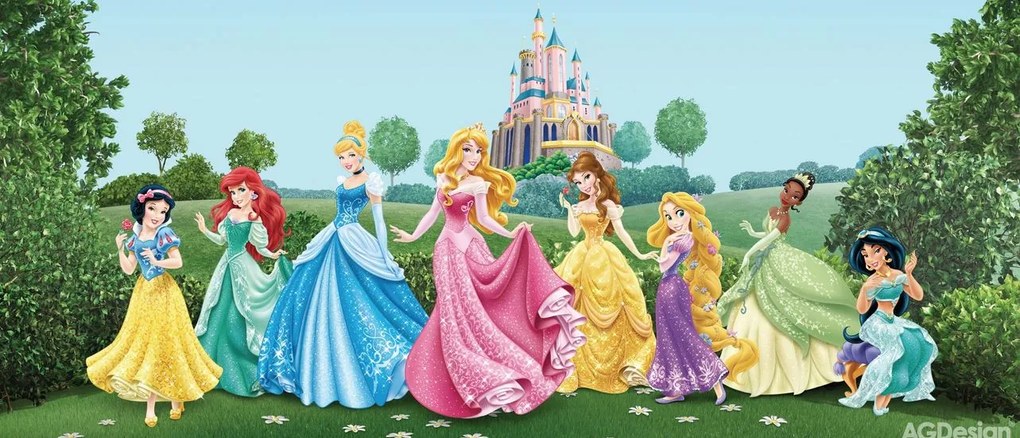 Dětská fototapeta vliesová horizontal - FTDNH 5325 Disney princezny 202x90cm - 2022