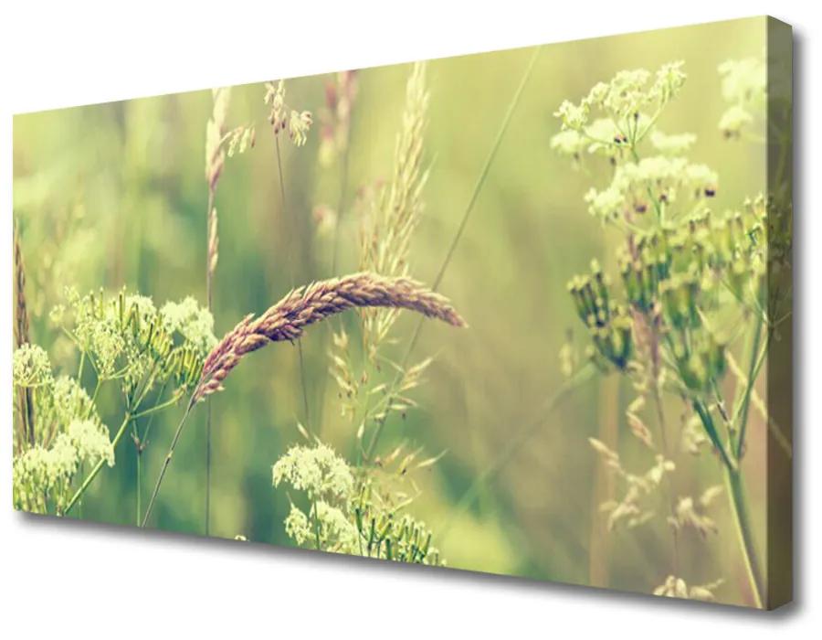 Obraz na plátně Divoké Rostliny Příroda 125x50 cm