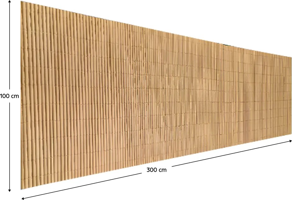Zahradní zástěna, přírodní, 300x100 cm, ABEO