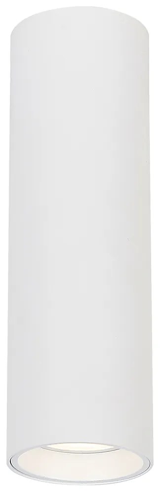 Stropní svítidlo Genesis, 1x bílé kovové stínítko, (20 cm)