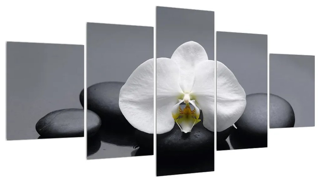 Obraz orchideje (150x80 cm)