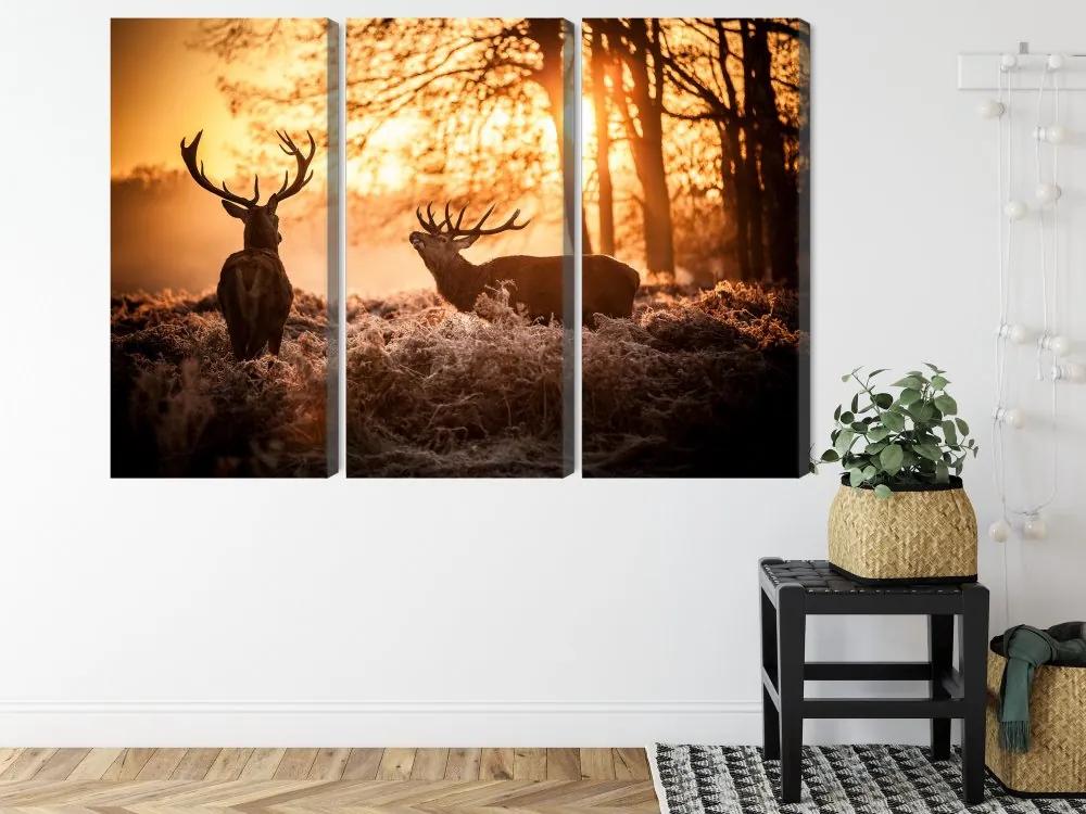 Vícedílný obraz Dva Jeleni V Lese Při Západu Slunce 3D Nedostatek Nedostatek Přírodní plátno 150x100