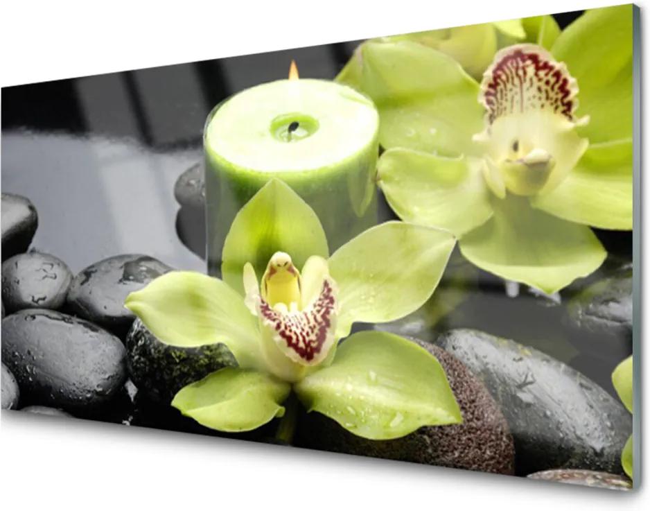 Skleněný obraz Květ Kameny Rostlina
