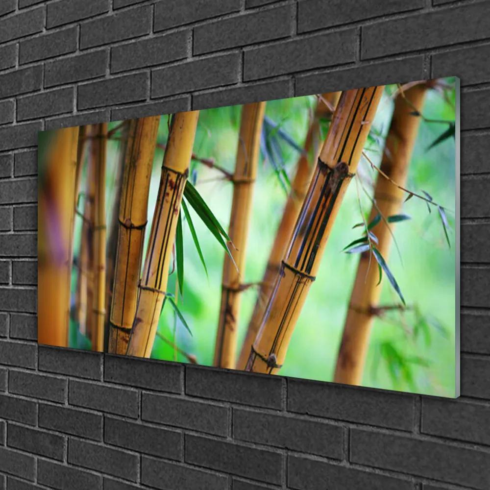 Obraz na skle Bambus Příroda Rostlina 140x70 cm
