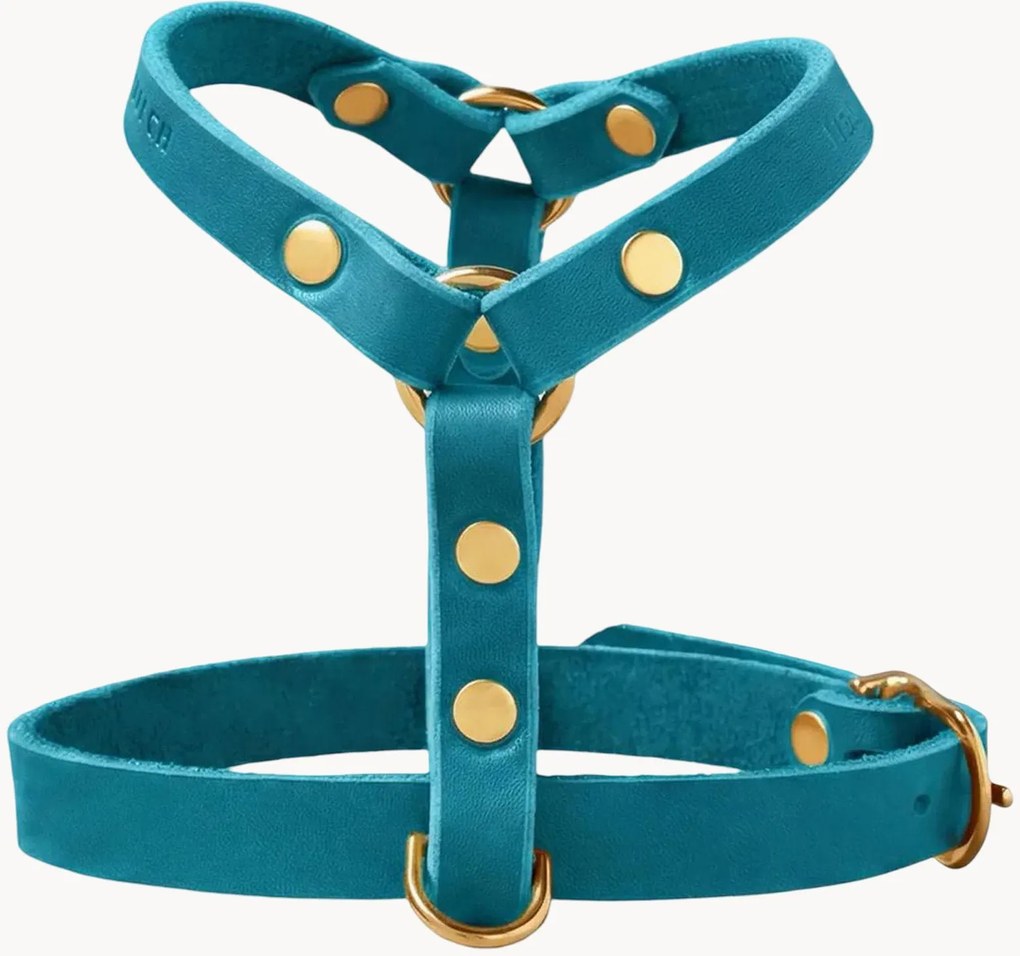 Kožený postroj pro psa Y-Harness, v různých velikostech