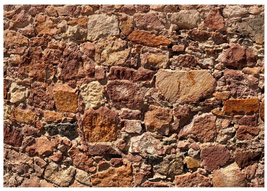 Fototapeta - Kamenná zeď III 350x245 + zdarma lepidlo