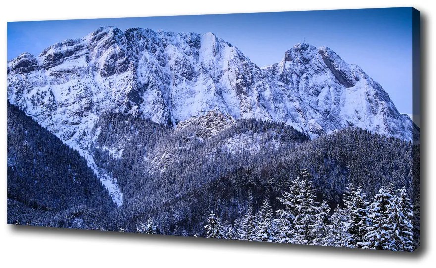 Wallmuralia Foto obraz na plátně Gievont Tatry 100x50