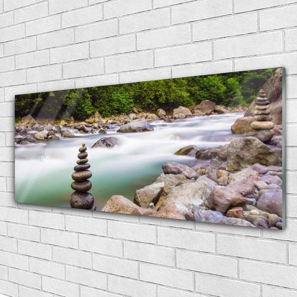 Plexisklo-obraz Les Kameny Krajina 125x50 cm