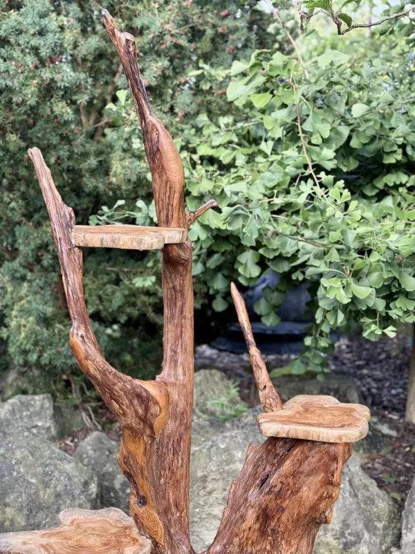 Škrabadlo pro kočky nebo stojan na květiny, Teak 209 cm 185 - 220 cm