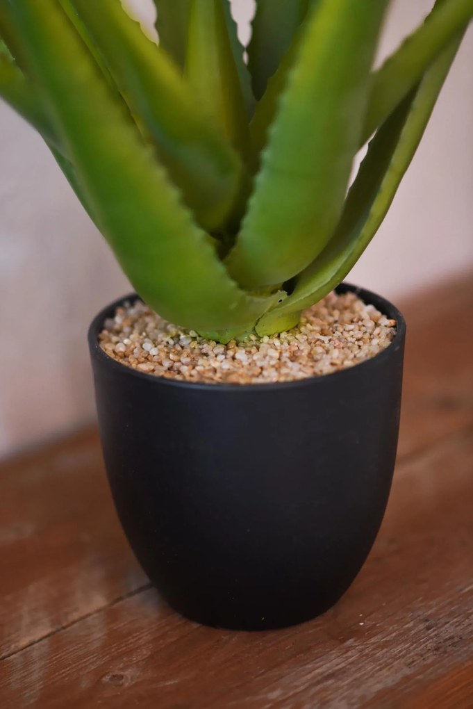 Umělé agáve ASPARA v černém plastovém květináči, výška 45 cm, plast, zelená