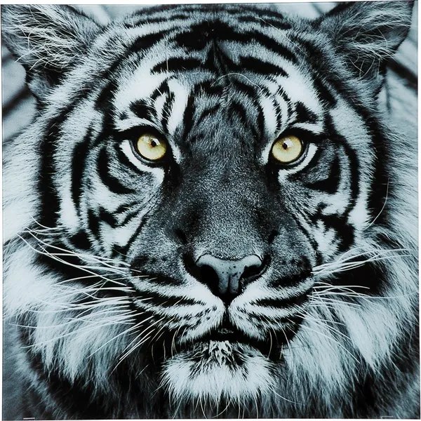 Obraz na skle Face Tiger 80x80 cm