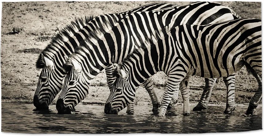Ručník - Zebry u vody 50x100 cm