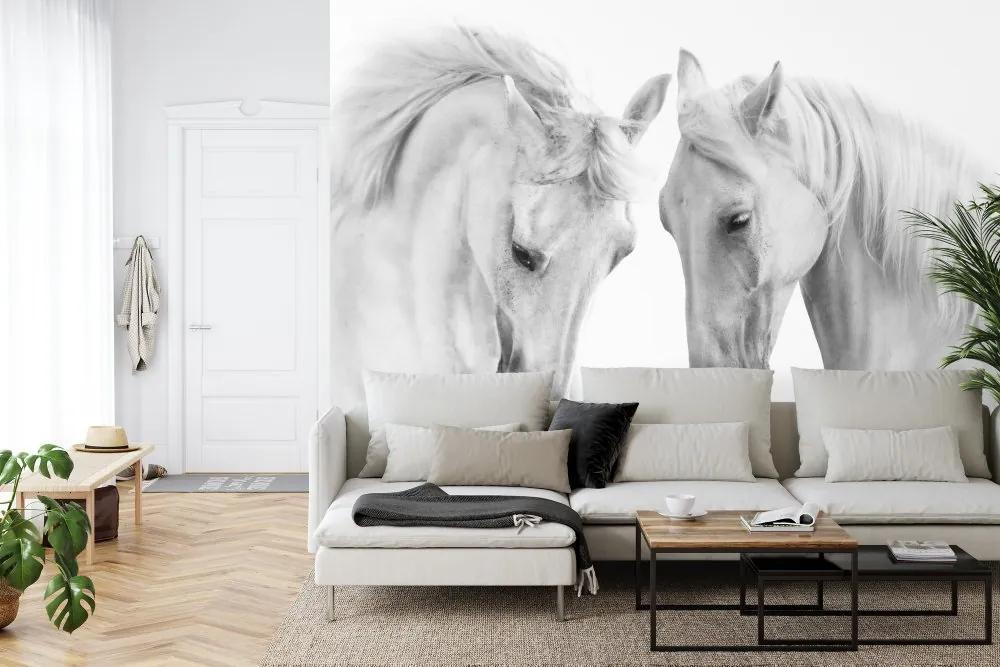 Fototapeta Dva Bílí Koně 3D Hladký vinyl 460x300
