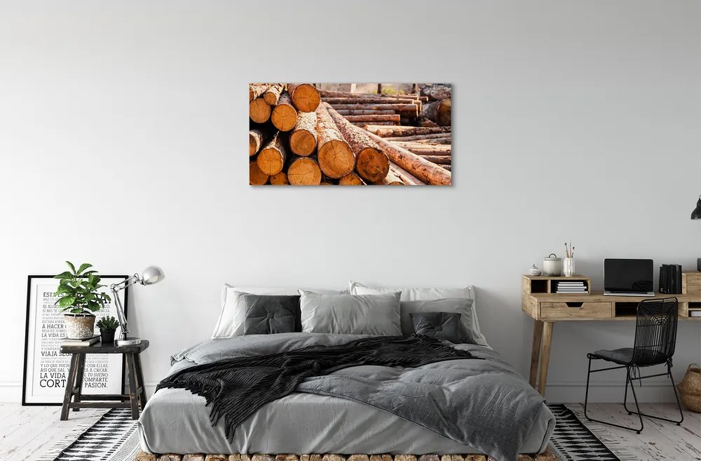Obrazy na plátně Dřevěné kuličky 100x50 cm