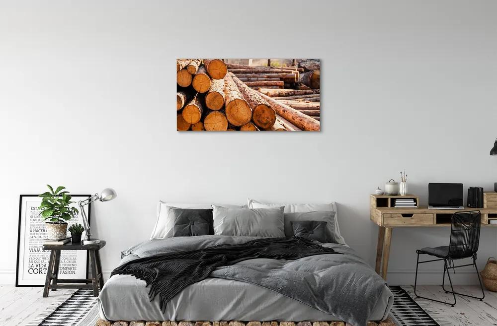 Obrazy na plátně Dřevěné kuličky 125x50 cm