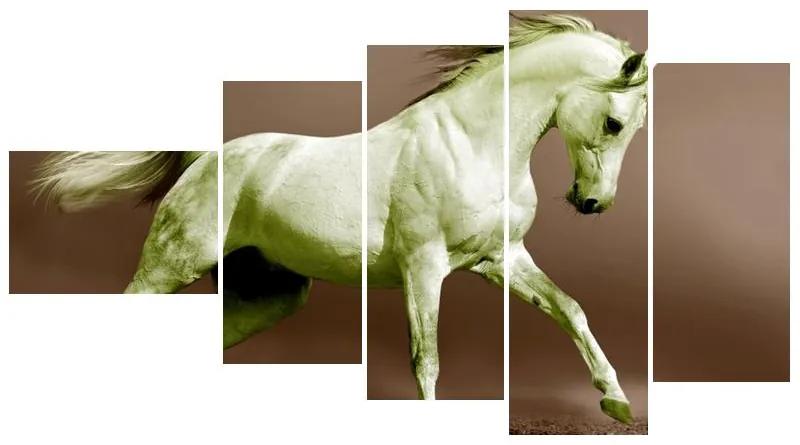 Obraz zeleného koně  (110x60 cm), 40 dalších rozměrů