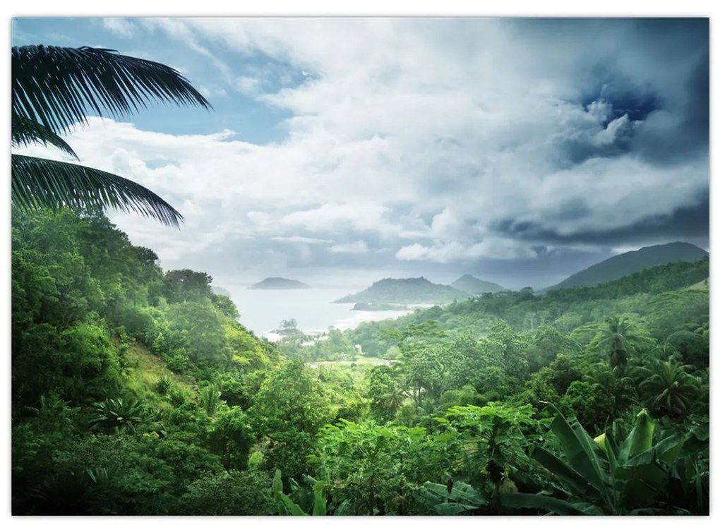 Skleněný obraz - Seychelská jungle (70x50 cm)