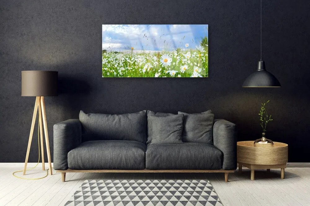 Obraz na skle Louka Sedmikrásky Příroda 100x50 cm