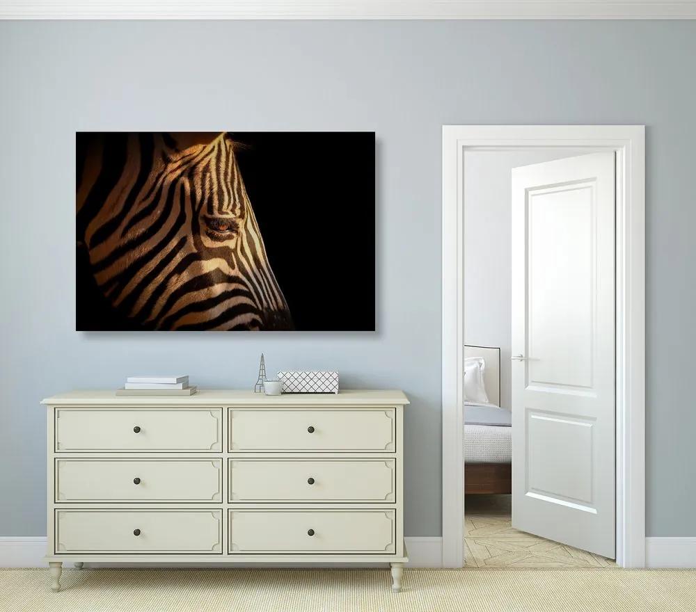 Obraz portrét zebry Varianta: 60x40