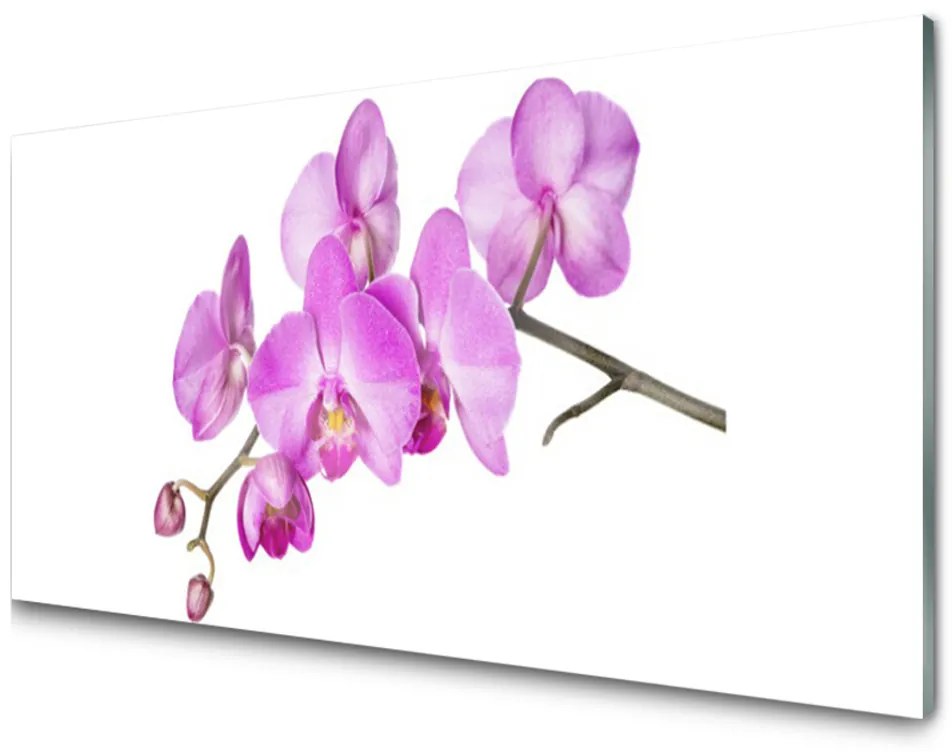 Skleněný obraz Vstavač Orchidej Květiny