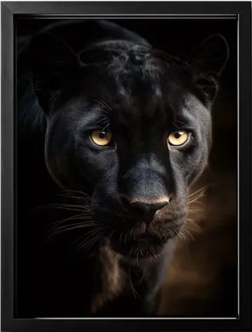 Temná elegance - obraz - Černý panter s pronikavým pohledem 42 - 70 x 100 cm - 1 149 Kč