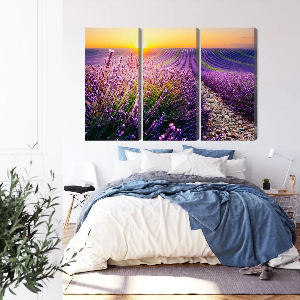 Vícedílný obraz Levandulové Pole Při Západu Slunce 3D Nedostatek Nedostatek Plátno Canvas 150x100