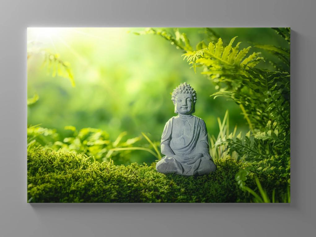 Liox Obraz socha Buddhy v přírodě Rozměr: 120 x 80 cm