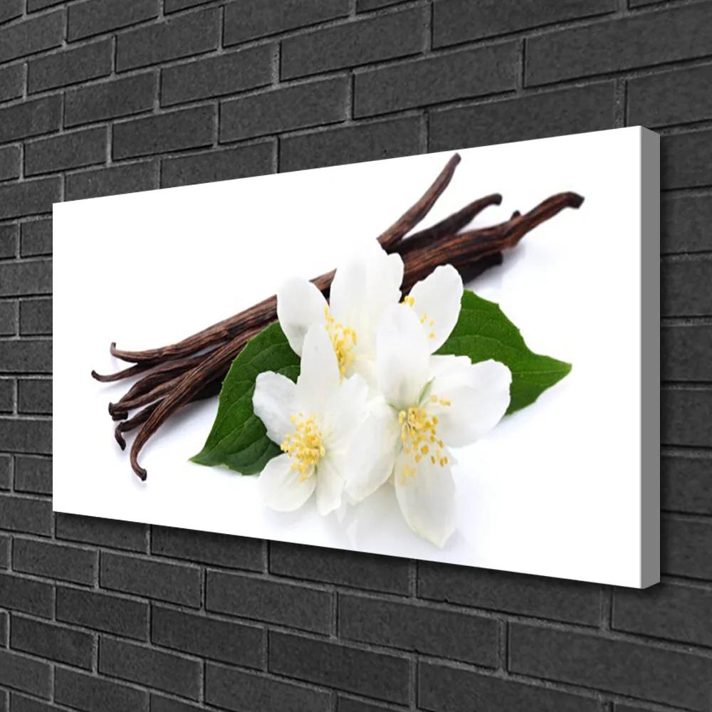 Obraz na plátně Tyčinka Vanilky do Kuchyně 125x50 cm