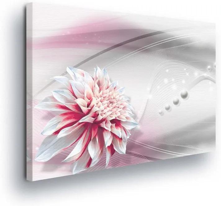 GLIX Obraz na plátně - Magický Růžový Květ 100x75 cm