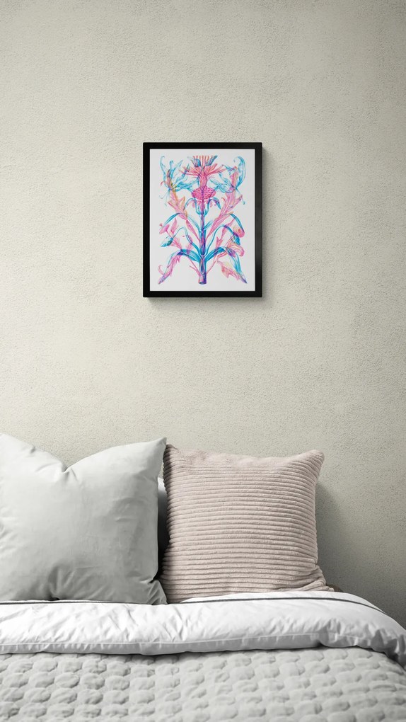 Filip Šenkeřík | Hybrid I – Liliantaurea Centaureum Rám: Bez rámu, Velikost: 60 x 40 cm