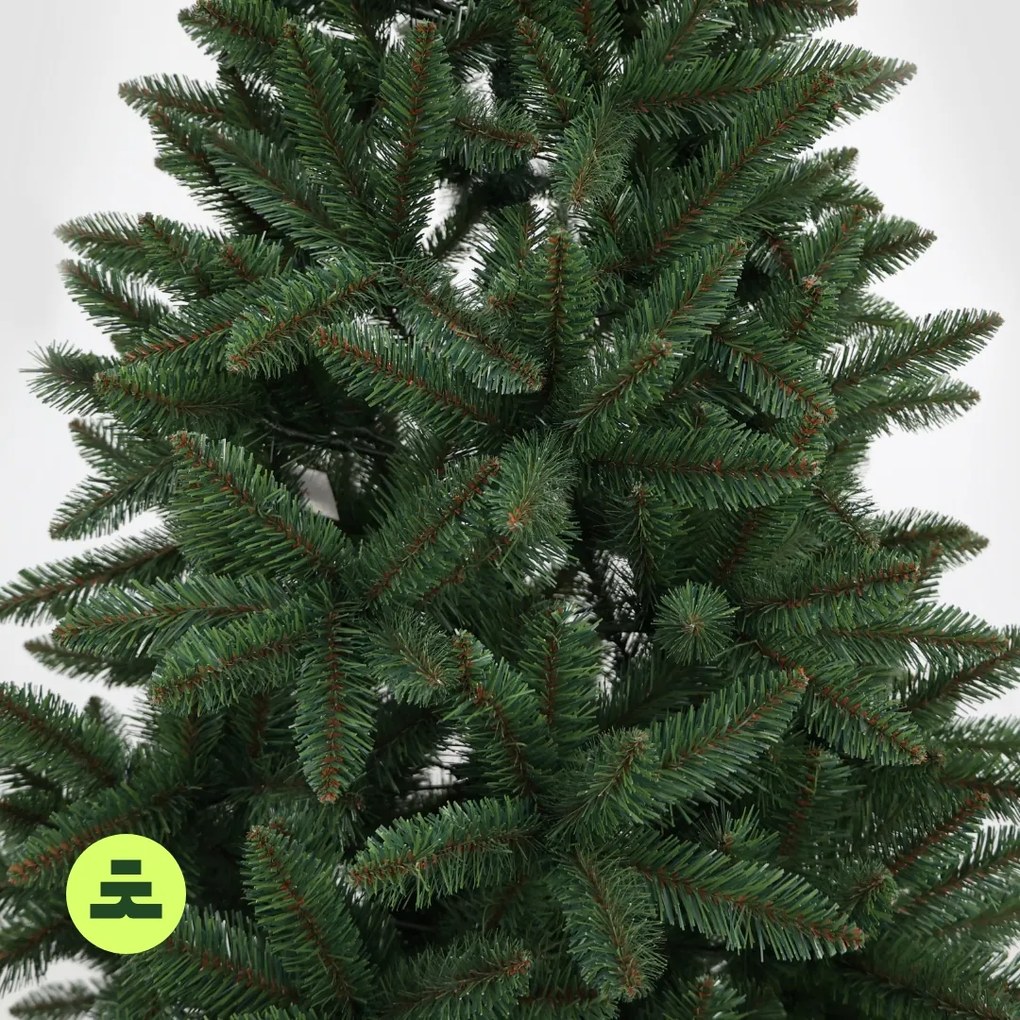Smrk Kanadský 150 cm