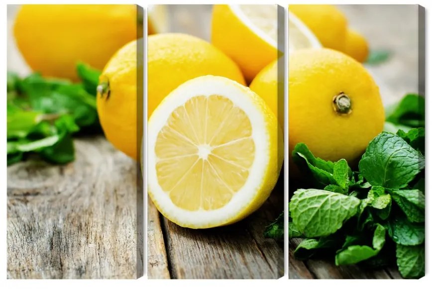 Vícedílný obraz Citron S Mátou Nedostatek Nedostatek Přírodní plátno 180x120