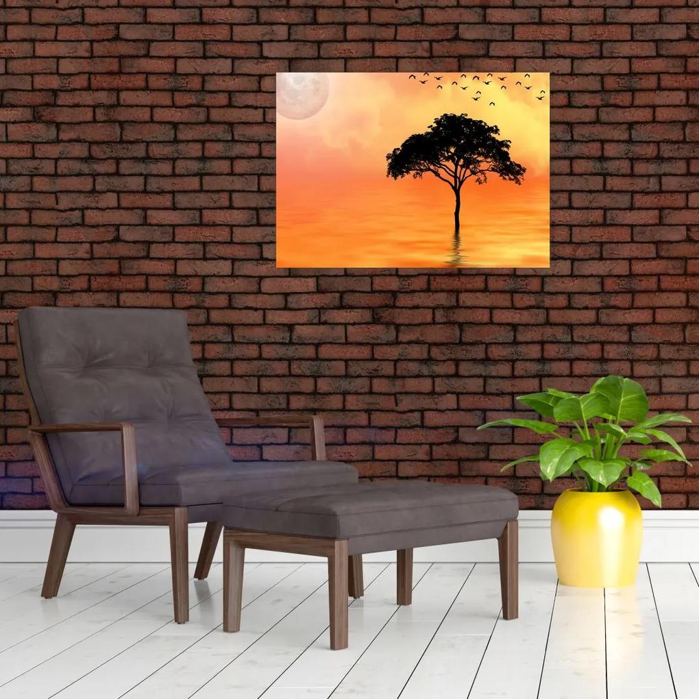 Skleněný obraz stromu v západu slunce (70x50 cm)