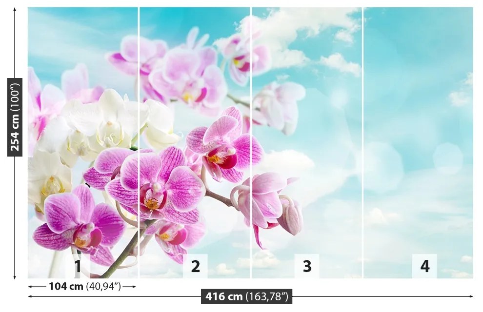 Fototapeta Orchideje Modrá 104x70