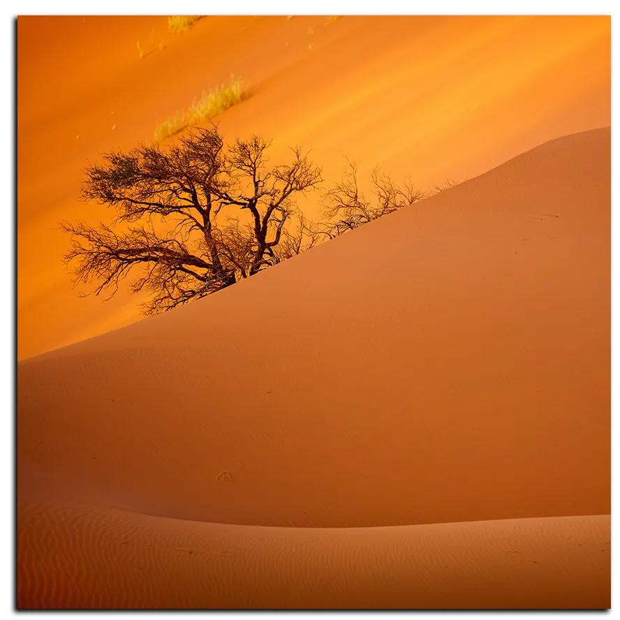 Obraz na plátně - Červené písečné duny - čtverec 3133A (80x80 cm)