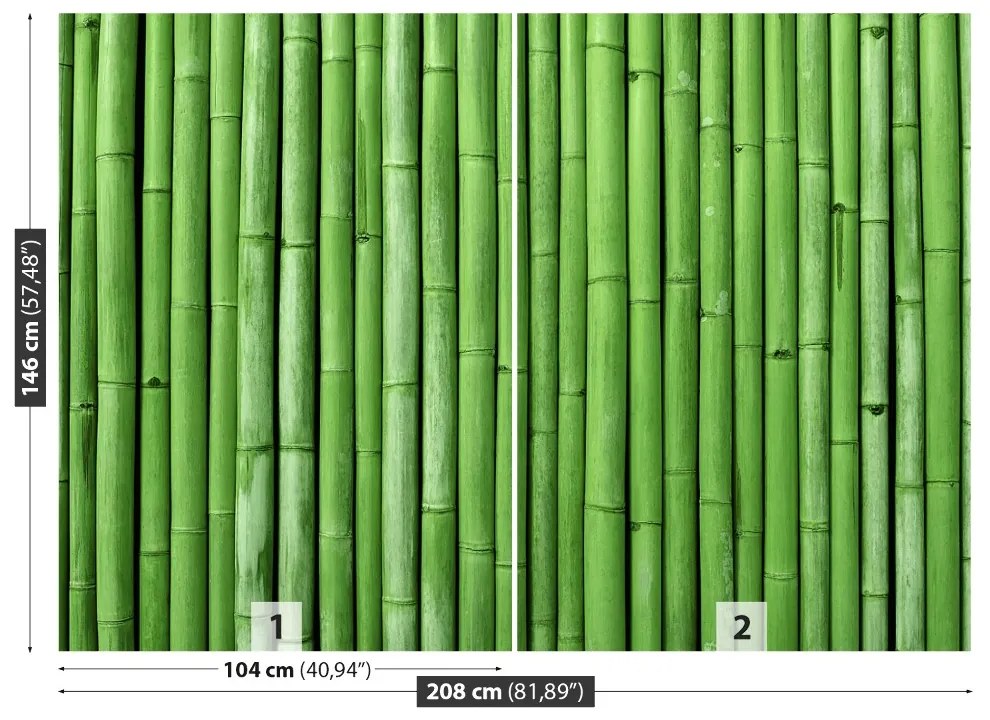 Fototapeta Bambusová zelená 104x70