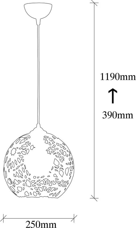 Černé závěsné svítidlo ø 25 cm Fellini – Opviq lights