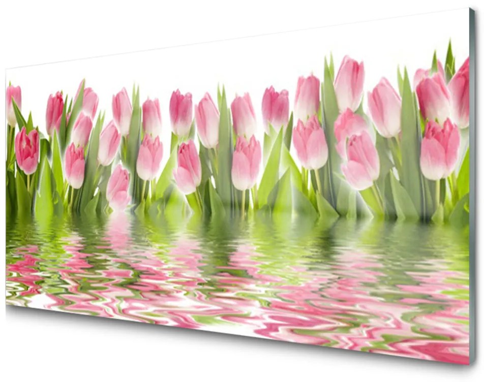 Plexisklo obraz Tulipány Rostlina Příroda