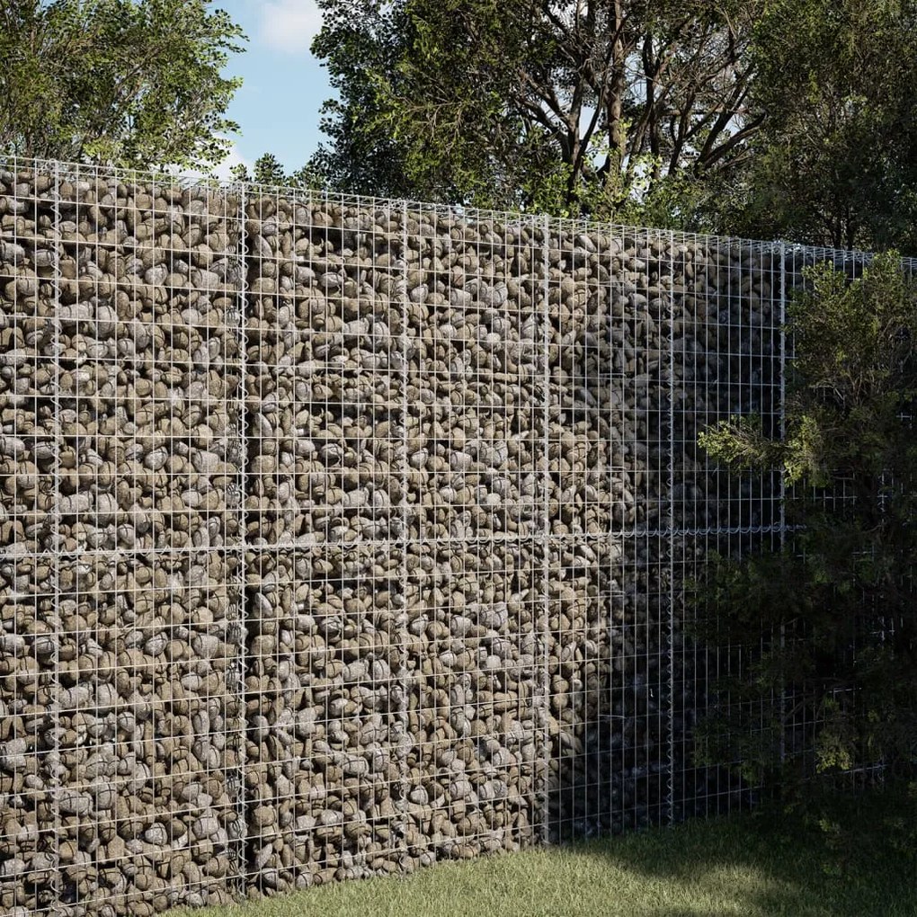 Gabionový koš s víkem 100 x 50 x 200 cm pozinkované železo 3295166