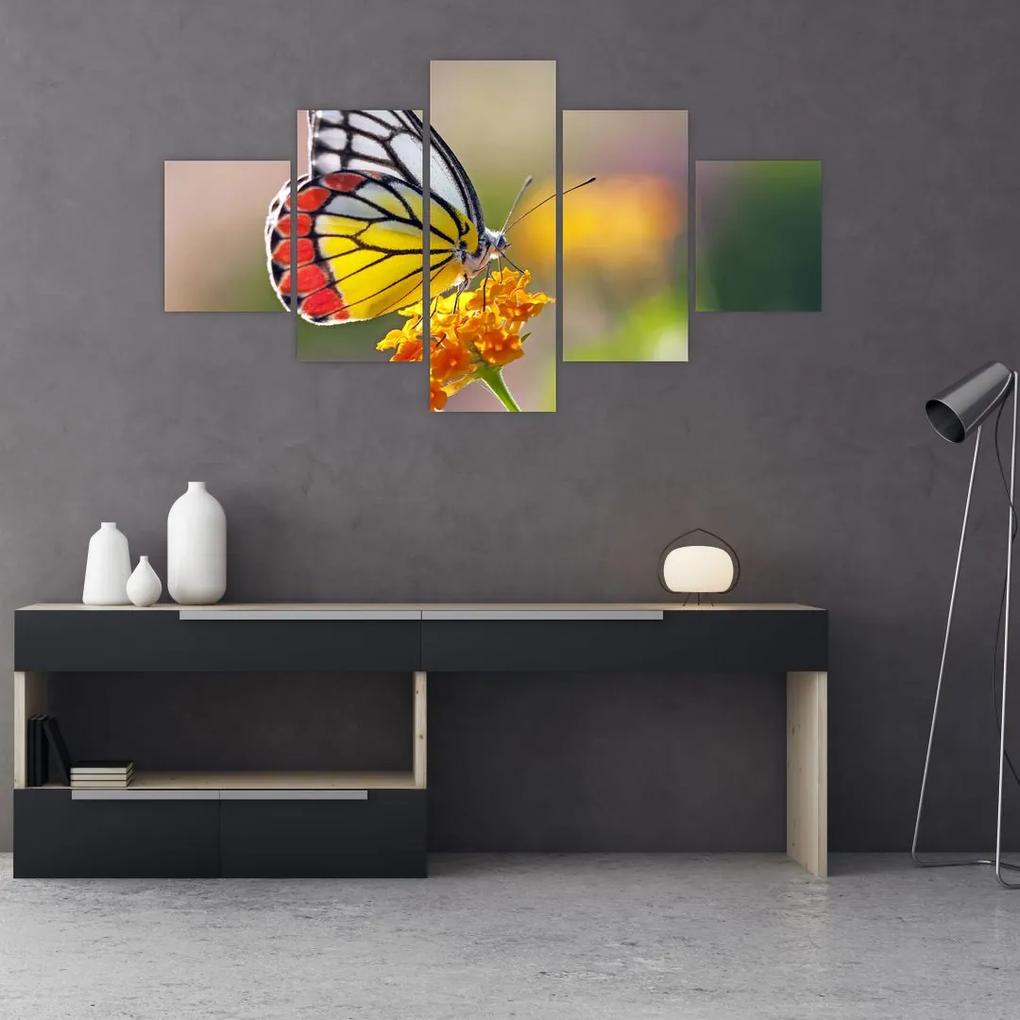 Obraz motýla na květu (125x70 cm)