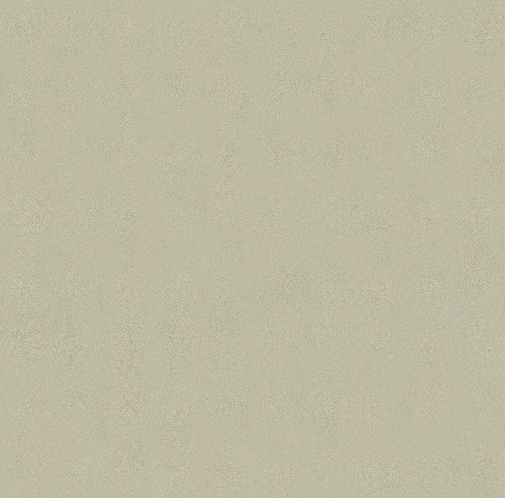 Lentex, PVC podlaha - lino Flexar PUR 603-05 béžová, na míru, šíře 2m,4m, béžová, bez podkladu, kancelář